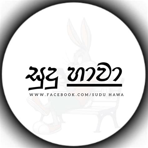 සුදු හාවා Colombo