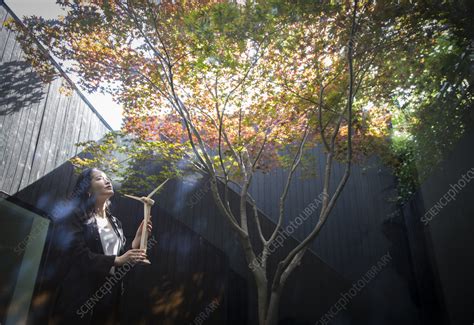 Engineer With Wind Turbine Model In Courtyard With Tree Stock Image F Science