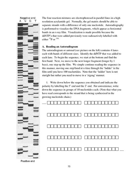 SOLUTION Genetics Lab Exercise Dna Sequence Analysis And The Genetic Code Studypool