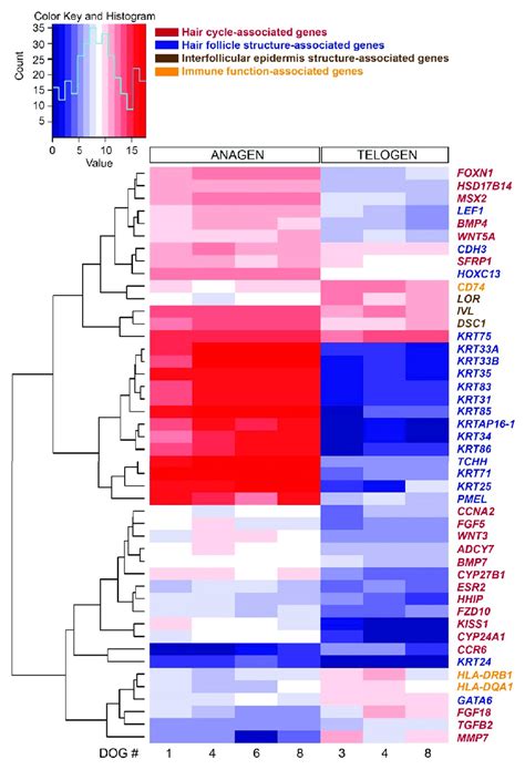 Heat Map Presenting Hierarchical Clustering Of A Preselected Subset Of