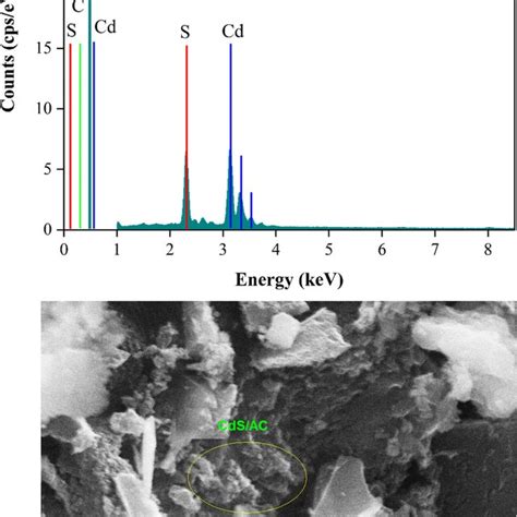 Edx Spectra Of Cdsac Semiconductor Material Download Scientific Diagram