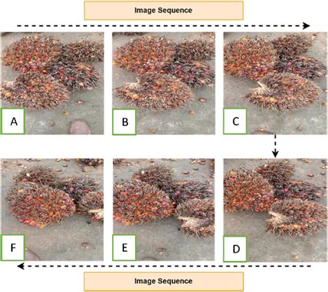 Sample Of Sequence Frame In Captured Video Show Different Position Of