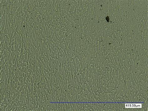 Dendritic Structure Of The Sample Observed Without Etching Download