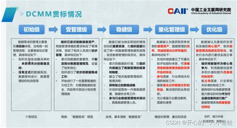 Dcmm数据能力成熟度评估模型 学习笔记（1）dcmm 这八个过程域共包含28个过程项441项评价指标 Excel Csdn博客