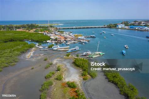 감비아 맹그로브 감비아의 맹그로브 숲의 공중 보기입니다 위에서 드론에 의해 만들어진 사진 아프리카 자연 풍경입니다 0명에 대한 스톡 사진 및 기타 이미지 Istock