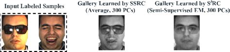 Figure 1 From Semi Supervised Sparse Representation Based