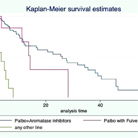 Kaplan Meier Graph Showing The Pfs Of The Patients Treated With