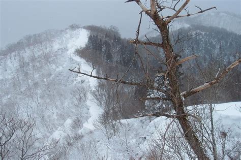 雪庇の稜線を行く ちょっと山ぼけ
