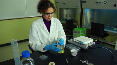 Хатуу тэжээлт орчин бэлтгэх дадлага Youtube