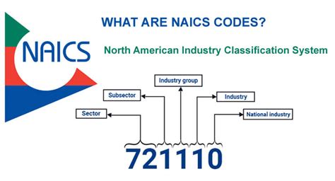 Wtf Are Naics Codes A Look At Their History Purpose And Why They