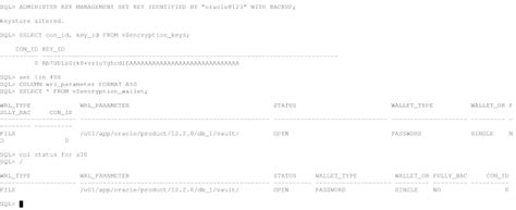 Encryption In Oracle Database 12c