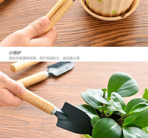 家用种花小铲子园艺工具三件套绿植多肉松土铁铲铁铁锹盆栽花铲 阿里巴巴