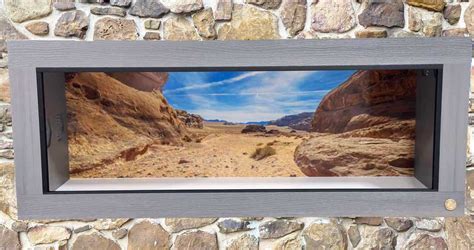 Jordan Wadi Rum Desert Reptile Enclosure Backgrounds Toad Ranch