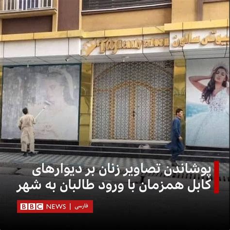 لطف الله نجفی زاده، رئیس شبکه تساوی حقوقی زن و مرد