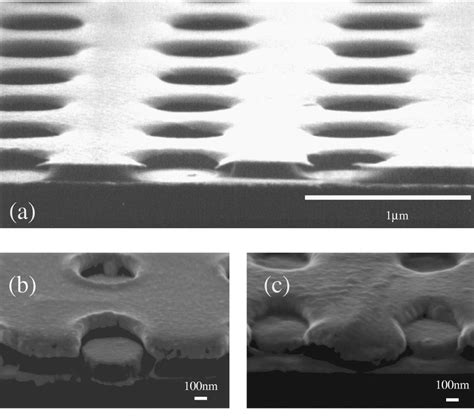 Cross Sectional Scanning Electron Micrograph Sem Views Of The Download Scientific Diagram