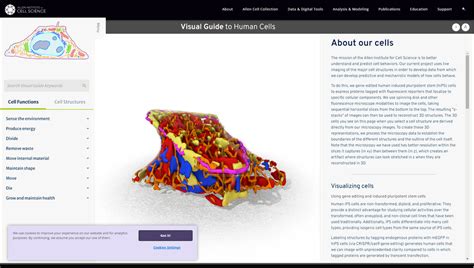 Allen Institute For Cell Science Visual Guide To Human Cells