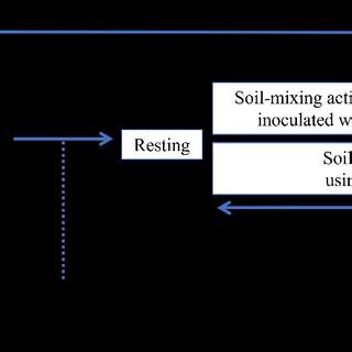 Experiment Protocol EEG Electroencephalogram SDM Comparisons Via Download Scientific