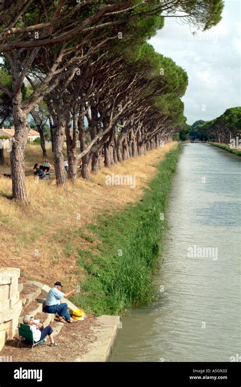 Tree Lined Canal Jonction Close To Canal Du Midi At Salleles An Old