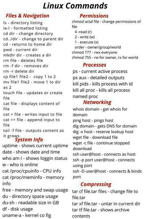 Top Common Network Protocols Infosectrains Essential Guide