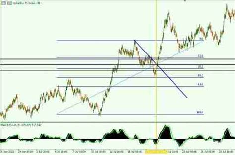 HOW TO MAKE DAILY PROFIT IN VOLATILITY INDEX ForexBrainBox