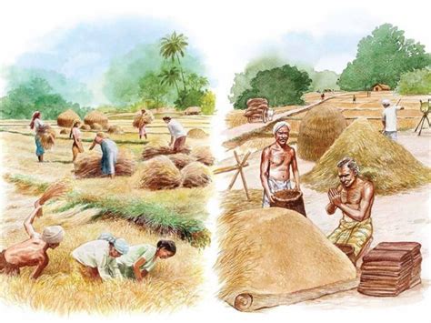 කමතේ කථාව කෘෂිකර්ම වාරිමාර්ග සත්ව නිෂ්පාදන අමාත්‍යාංශය මධ්‍යම