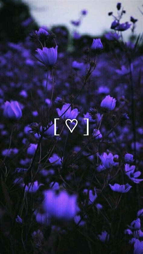 Фиолетовые цветы обои Fantezi Manzara Fotoğraf Kolajı Manzara