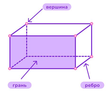 Параллелепипед его элементы и виды — Блог Тетрики
