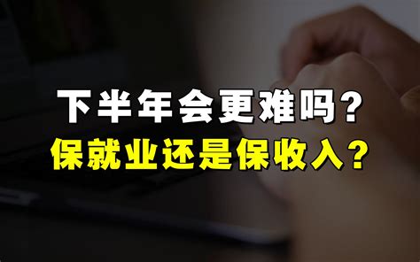 下半年会更难吗保就业还是保收入国家的选择是什么 铁锤观察室 铁锤观察室 哔哩哔哩视频