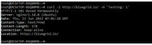NGINX If What Is And How To Use NGINX If With Statement