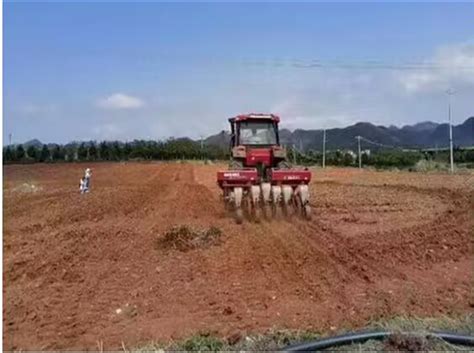 抓时节，抢节令，力推大豆玉米复合种植机械化 农机新闻网