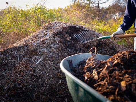 3 Ways To Turn Weeds Into Compost Effectively Artofit