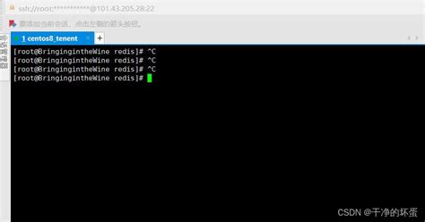 xshell一直出现 c ，不知道怎么一直按ctrl c xshell ctrl c总出 c csdn博客