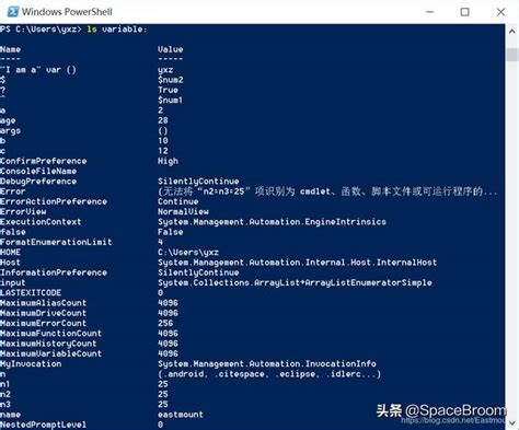powershell 查看当前编码方式 十九，powershell基础入门及常见用法（一） csdn博客