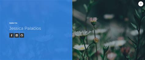 Udacity Portfolio Project Jess Plus Life Javascript