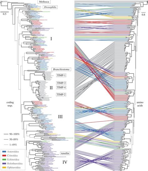 Best Tree Recovered Under Maximum Likelihood Using The Final Selected Download Scientific