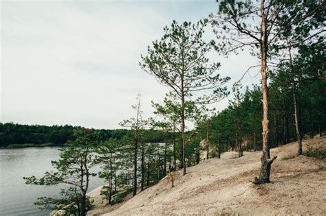 Premium Photo Mountain Hill Without Grass With Trees
