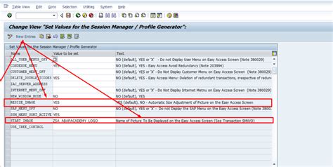 How To Change SAP Easy Access Screen Picture