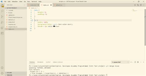 a mini tutorial to learn a few git version control basics by shane