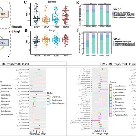 Microbiota Migration And Microbial Community Assembly In Rhizosphere Download Scientific