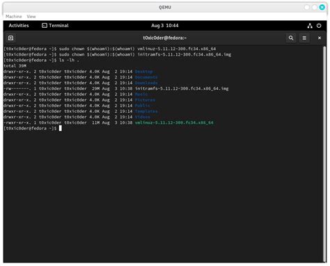 Offloading Domain TTY Output To Console With Original Kernel Initramfs