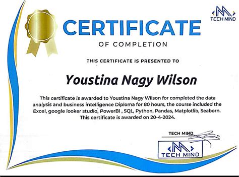 youstina nagy on linkedin dataanalysis businessintelligence 32 comments