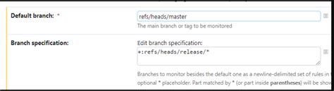 Teamcity Auto Build Dynamic Named Branch Teamcity Support Jetbrains
