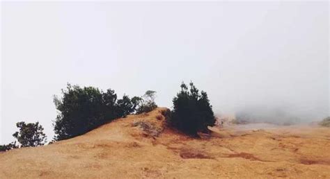 앰플과 세럼의 차이와 사용법 마이볼