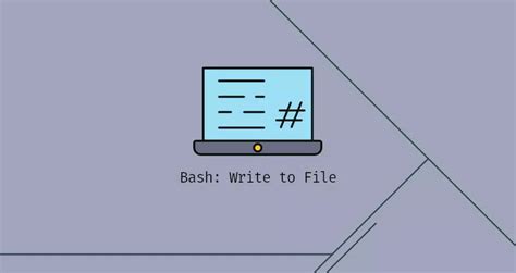 bash 写入文件