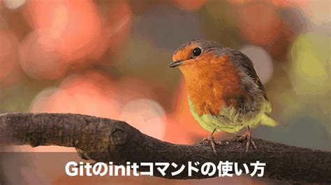【簡単解説】gitリポジトリの新規作成するinitコマンドの使い方