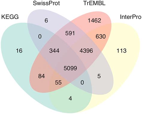 Functional Gene Annotations Using Four Databases Download Scientific