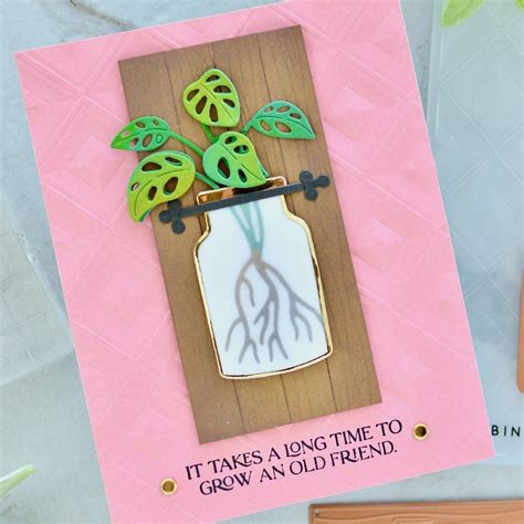 Multiple Paper Propagation Stations Using The Propagation Garden