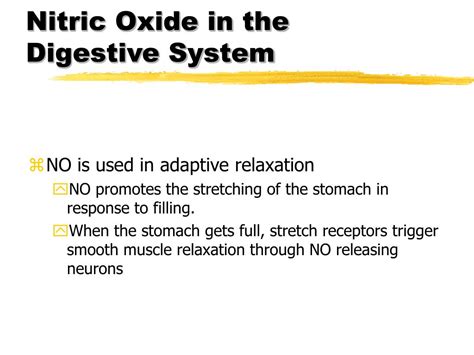 Ppt Nitric Oxide Powerpoint Presentation Free Download Id1291155