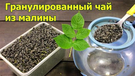 Ферментированный гранулированный чай из малины. Основные принципы и ...