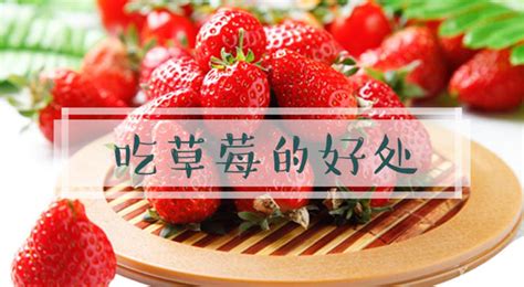 草莓的功效好处 摘草莓苗种植怎么洗酱的做法图片 孕妇可以吃草莓吗 鲜淘网